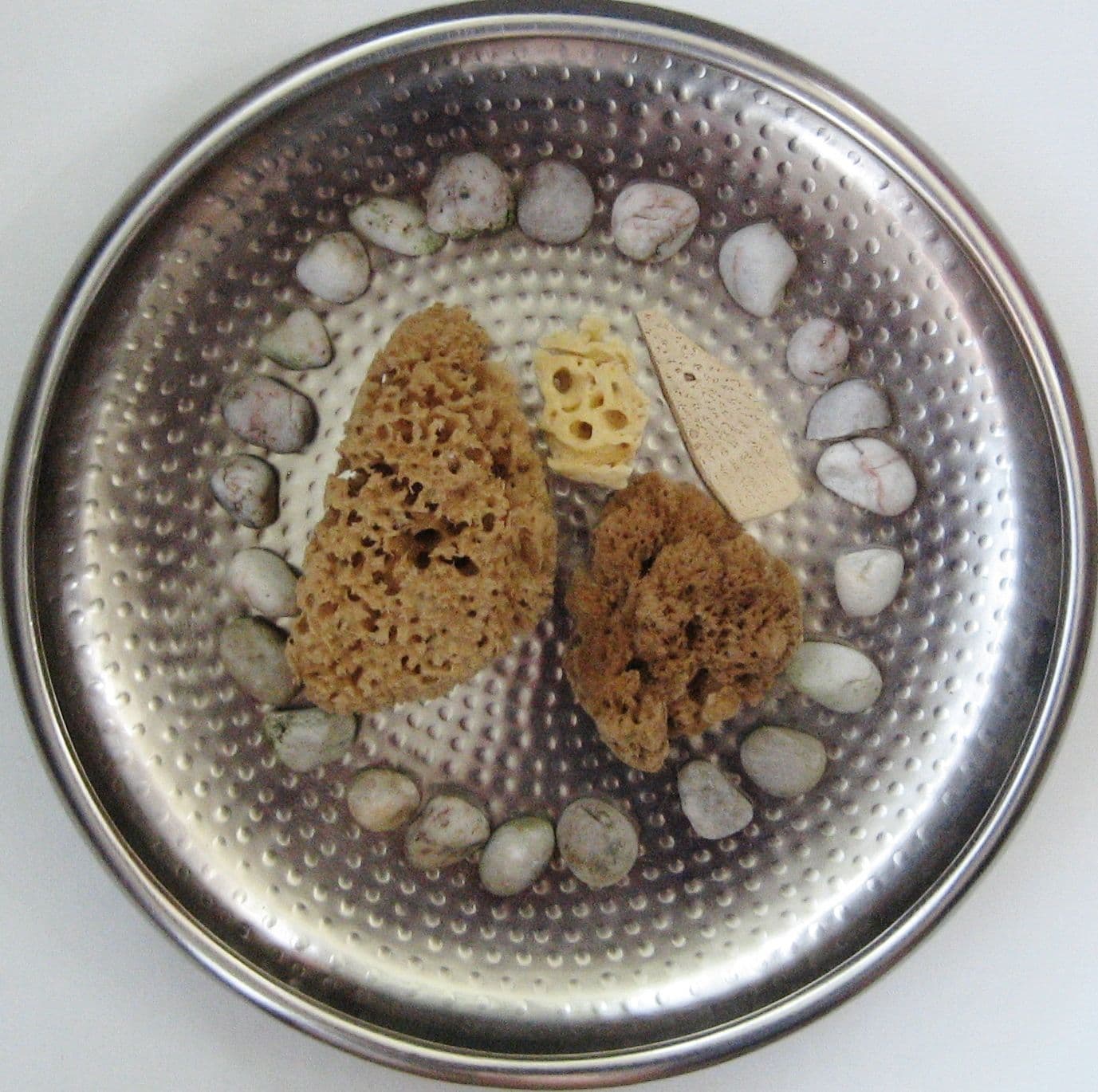 Natural sea sponges for art, craft and decorating PureSponges