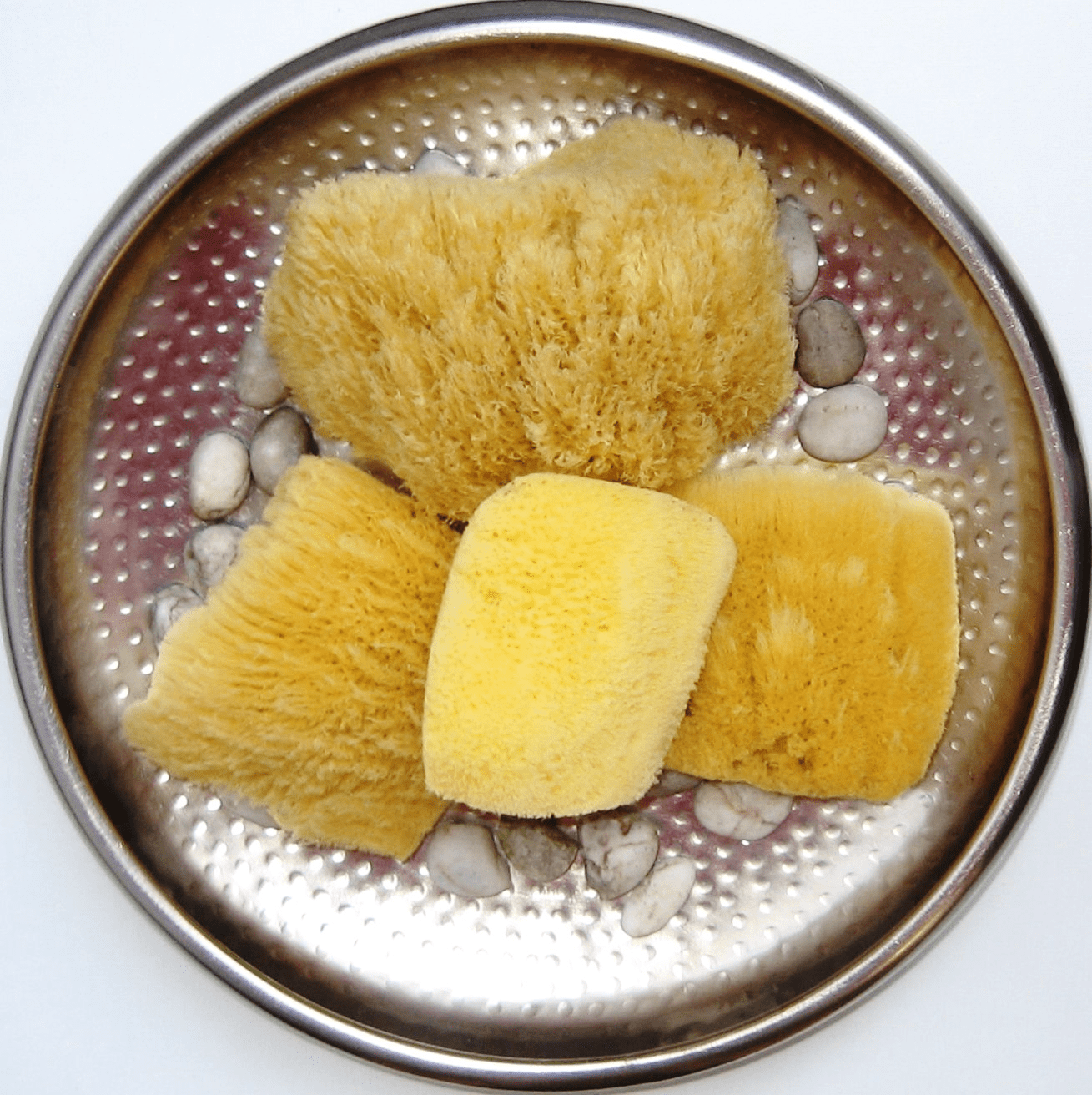 Individually photographed Natural Sea Sponges PureSponges