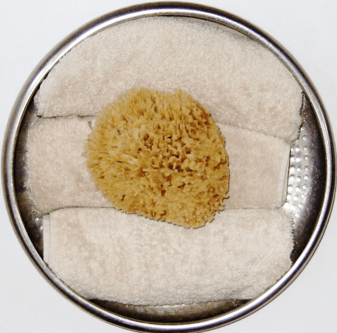 Unbleached Sea Wool Sponges [Brown Colour] PureSponges