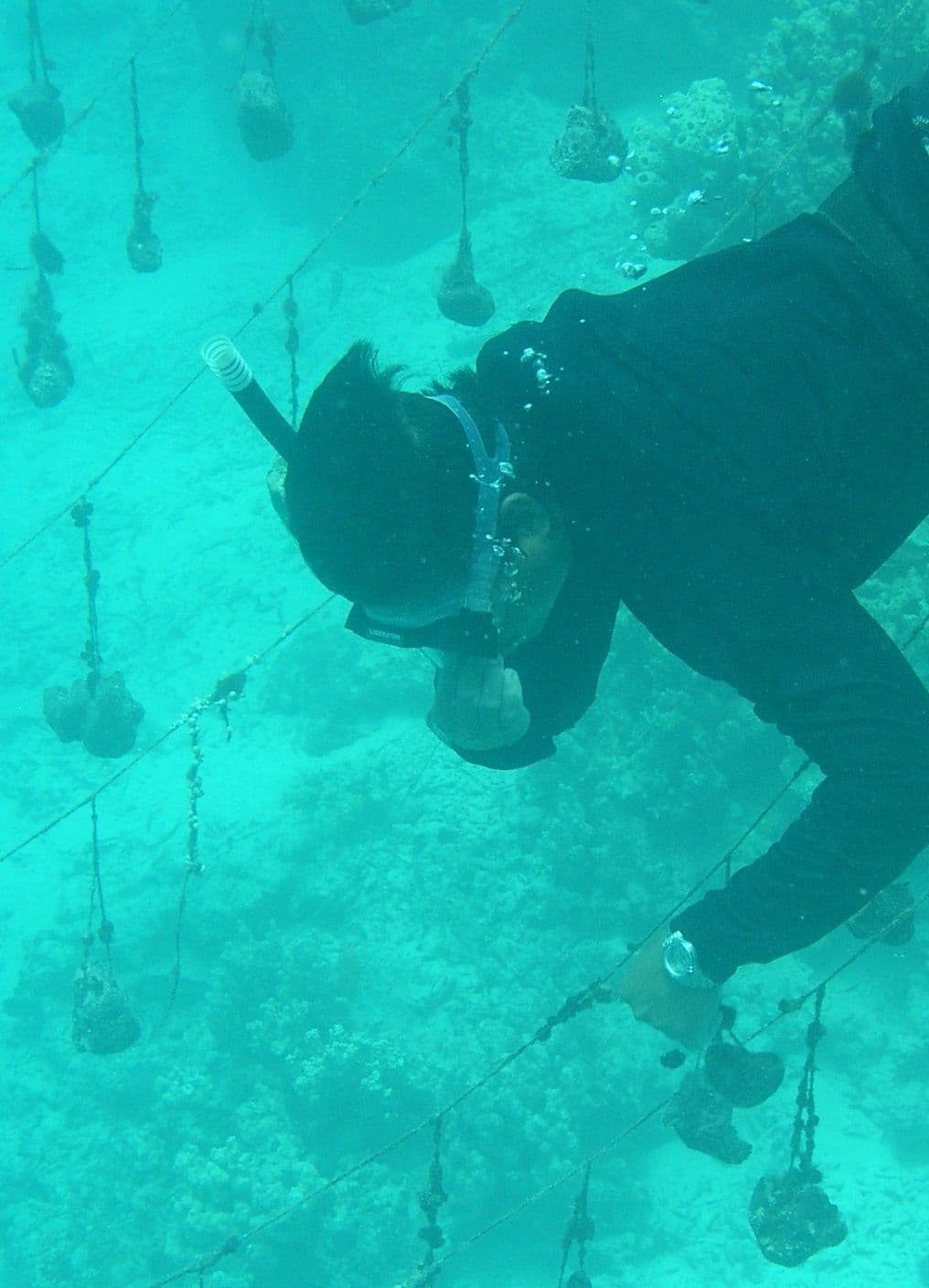 Fair Trade Sponge Farming PureSponges