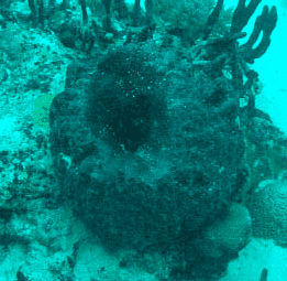 Fair Trade Sponge Farming PureSponges