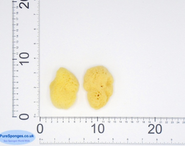 Duo Sponge Packs PureSponges