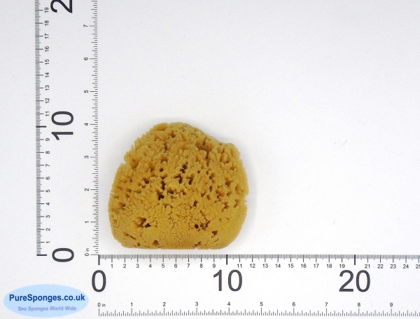 Yellow Sponges PureSponges