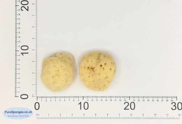 Prolapse Sponges PureSponges