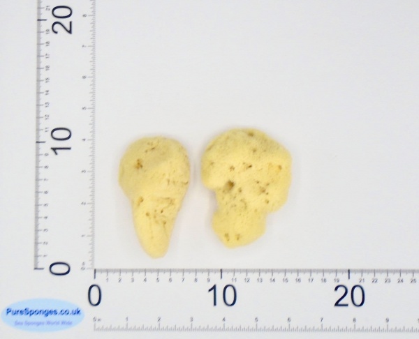 Prolapse Sponges PureSponges